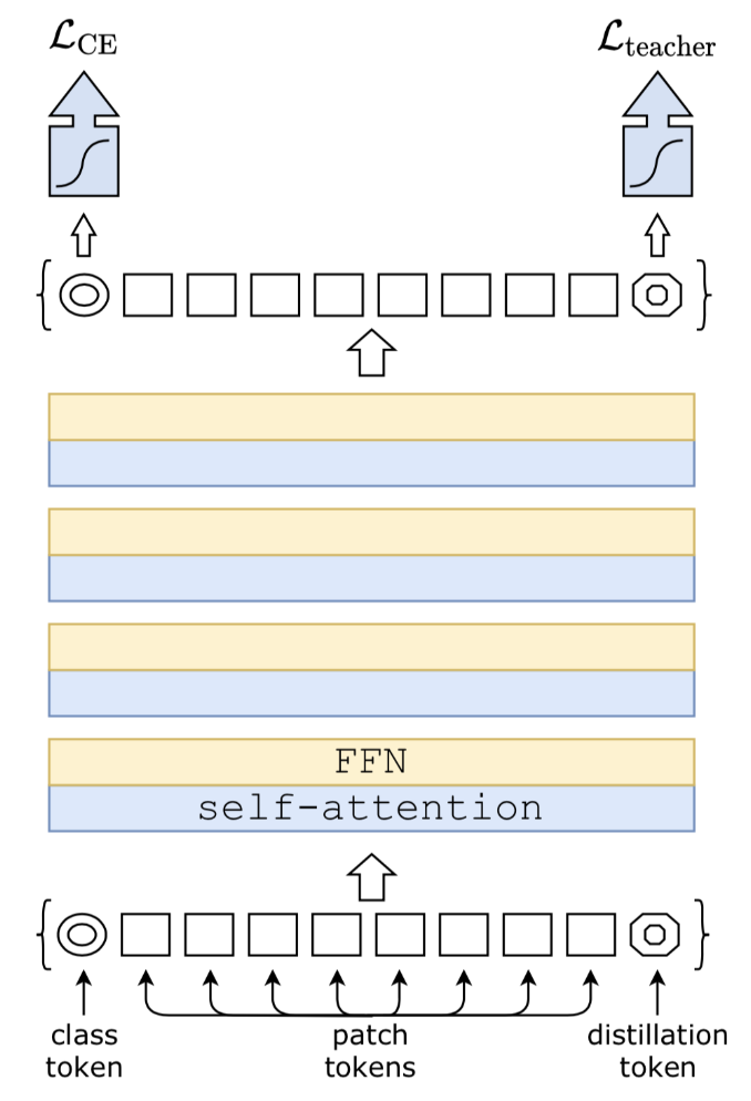 Computer Vision Research Bootcamp | Vizuara AI Labs